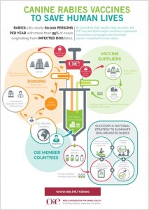 Rabies - WOAH – Europe