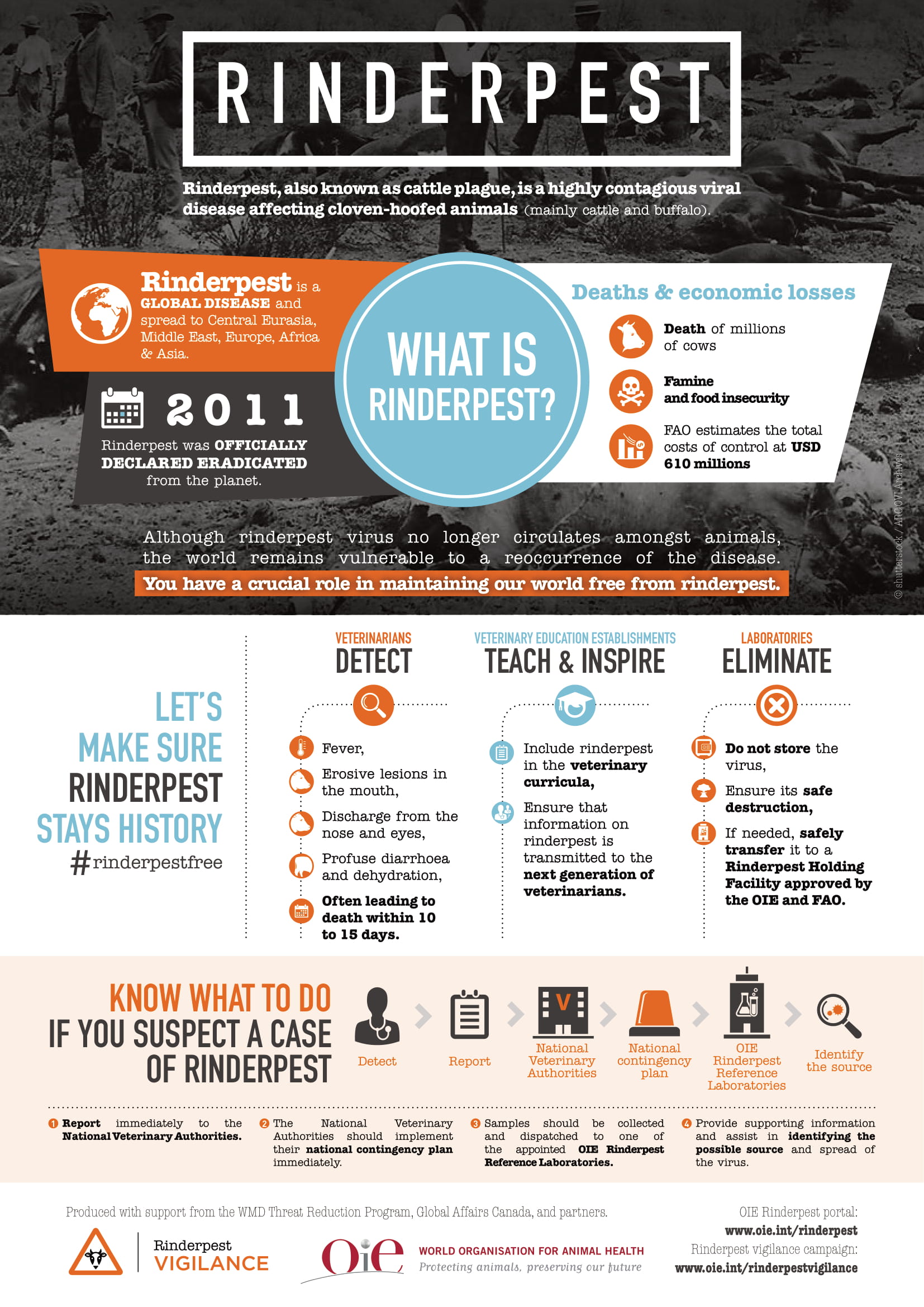 10th Anniversary of Rinderpest eradication - WOAH – Europe